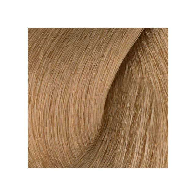 Limitless Hair Colour Products | Buy Online | AMR Hair & Beauty
